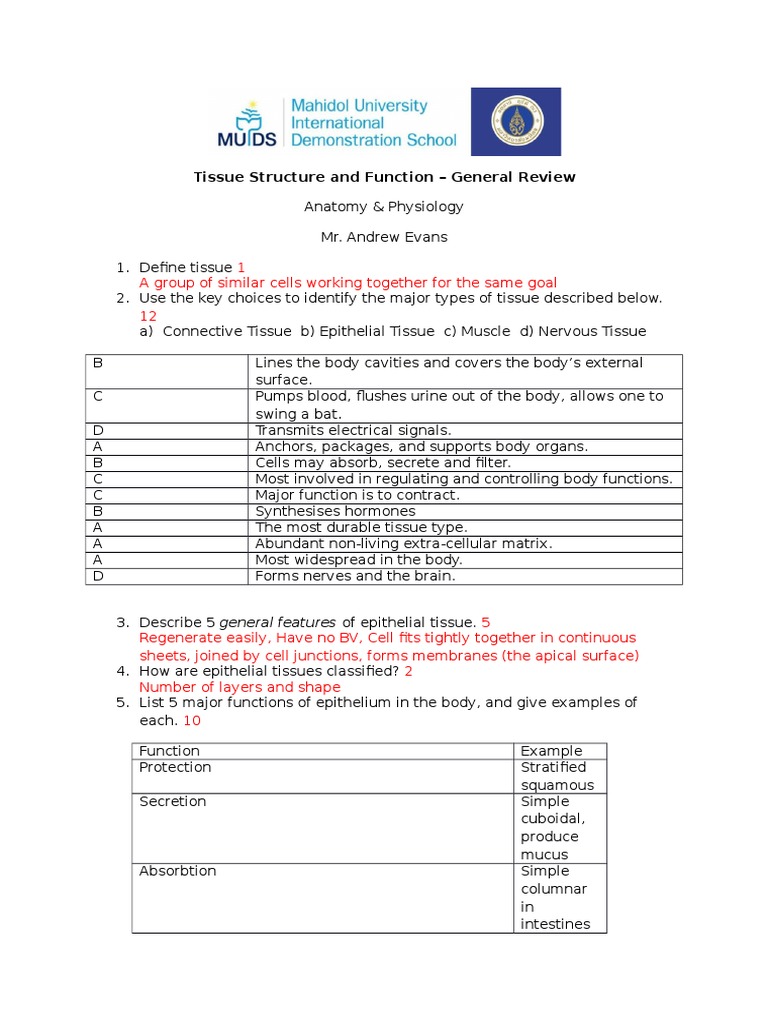 Tissue Structure and Function - General Review | PDF | Epithelium ...