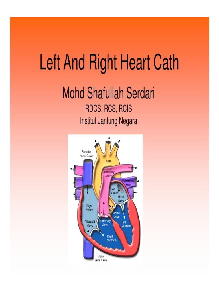 Microsoft PowerPoint - Left and Right Heart Cath | Diastole | Blood ...