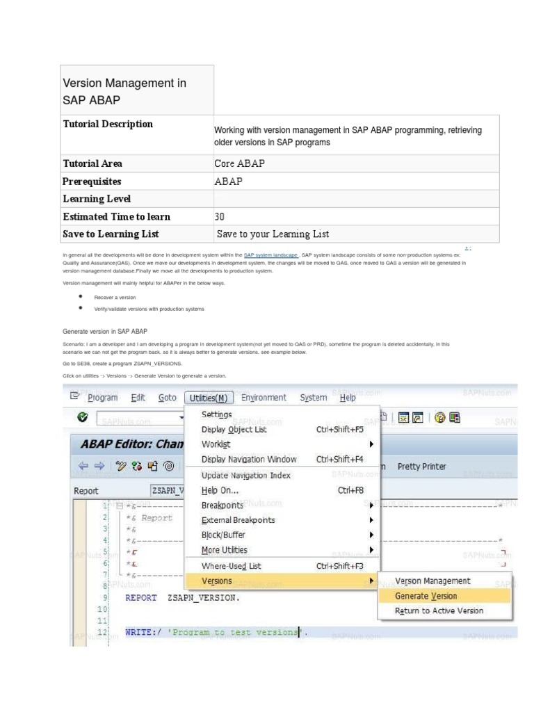 SAP ABAP Version Management Guide | PDF