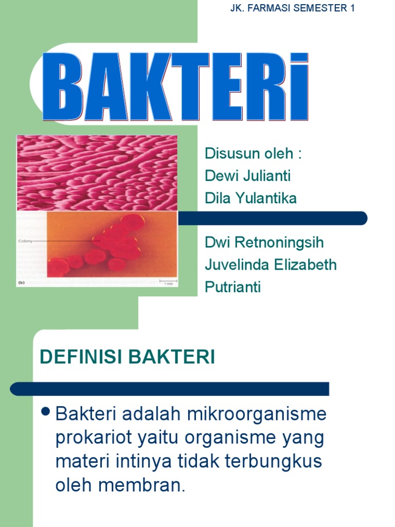 BAKTERI PPT - PPT (Autosaved) | PDF
