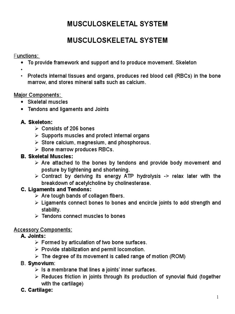 Musculoskeletal System Musculoskeletal System: A. Skeleton | PDF ...