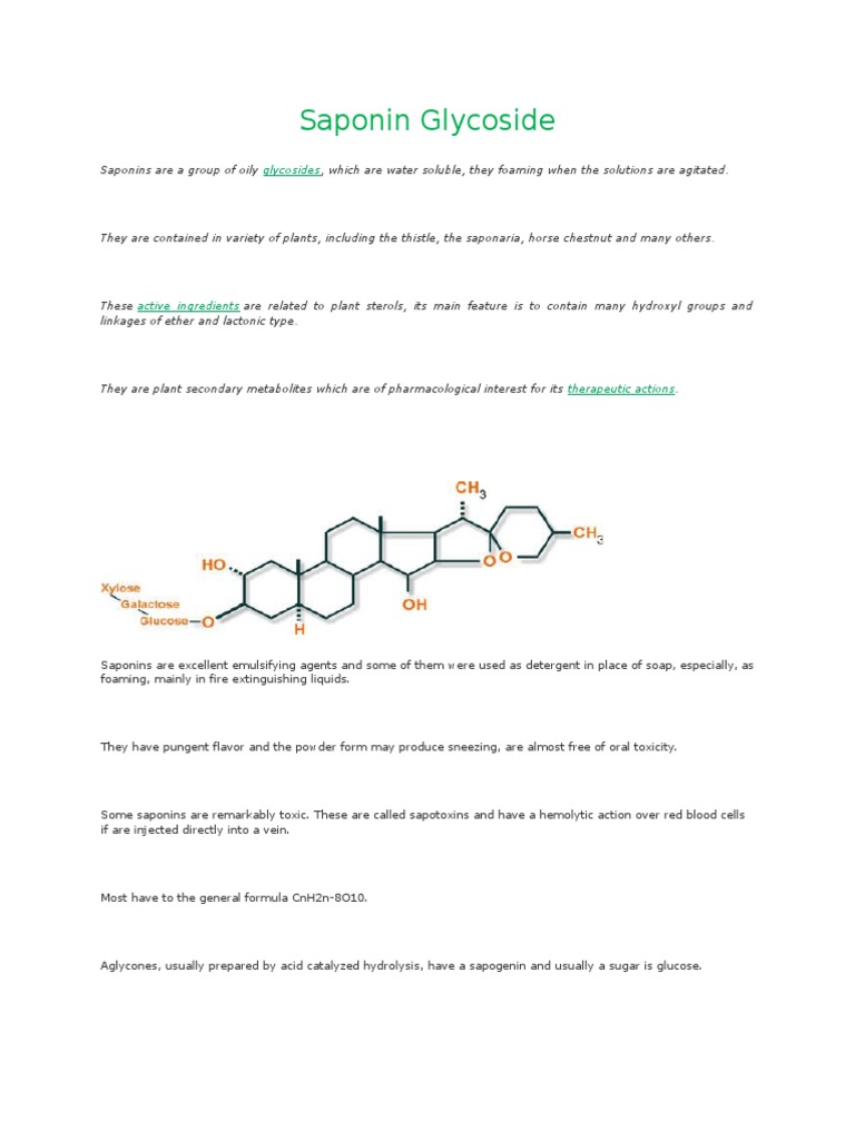Saponin Glycoside | Chemical Compounds | Organic Compounds