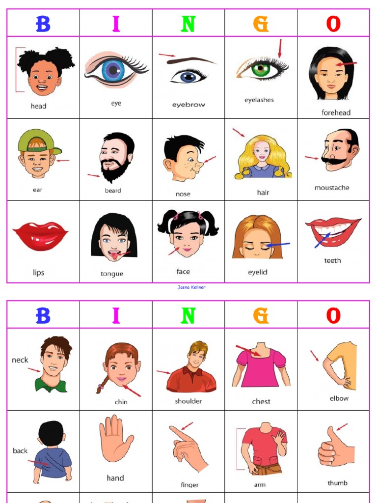 Body Parts Bingo Sheets PDF | PDF | Human Anatomy | Human Appearance