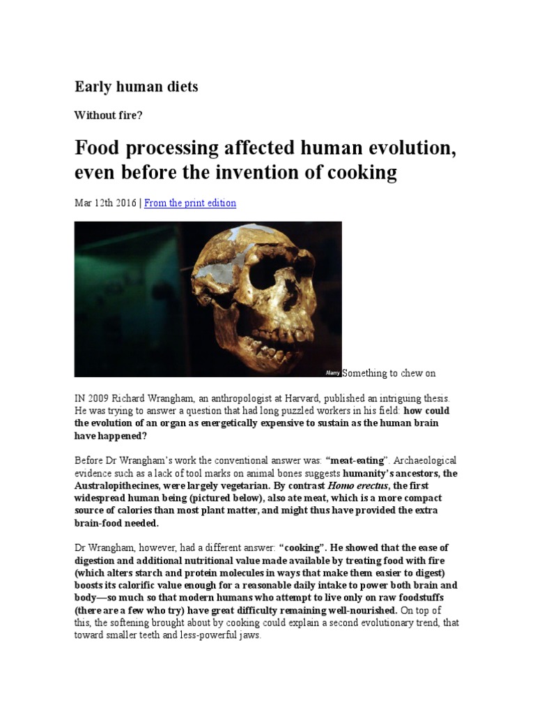 Early Human Diets | PDF | Foods | Human