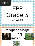 KALENDARYO NG Pagtatanim | PDF