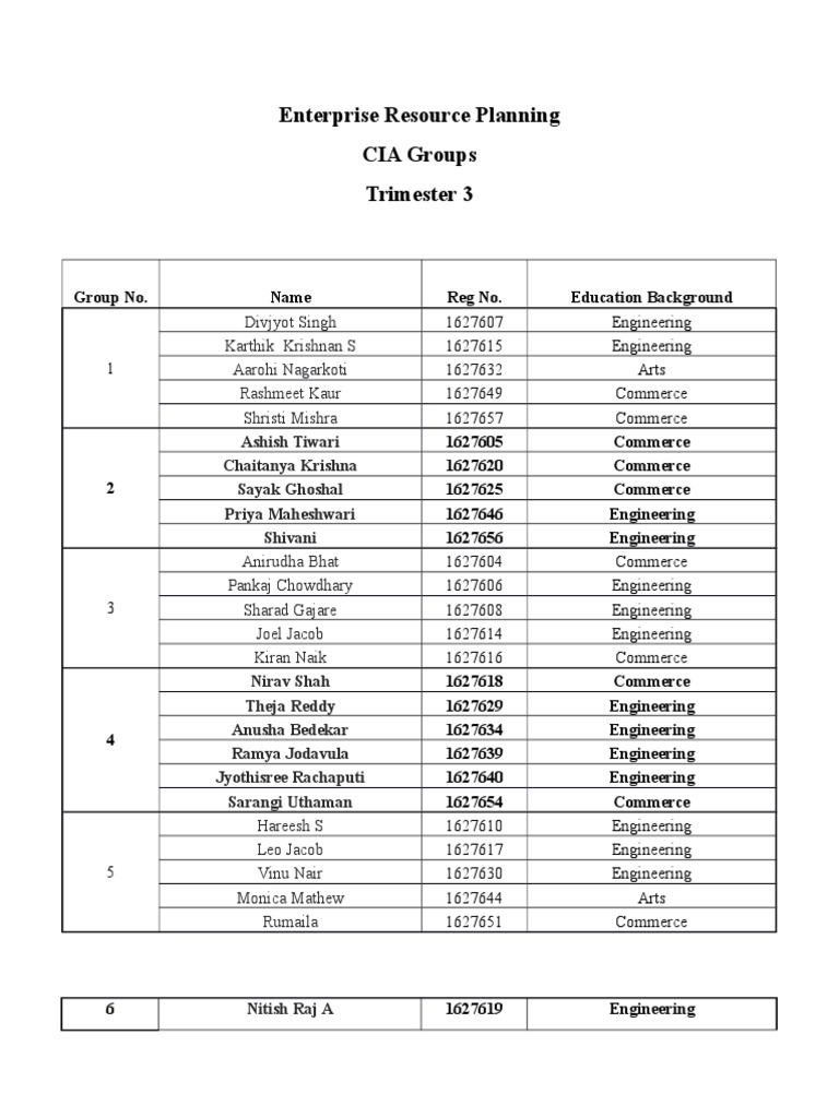 CIA Groups - Erp | PDF