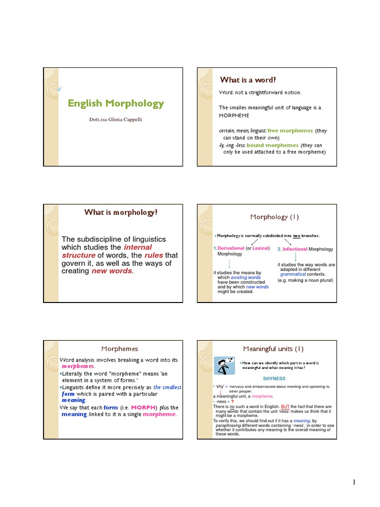English Morphology Handout | PDF | Morphology (Linguistics) | Word