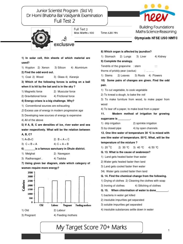 STD Vi 2013 Test Paper With Solutions | PDF