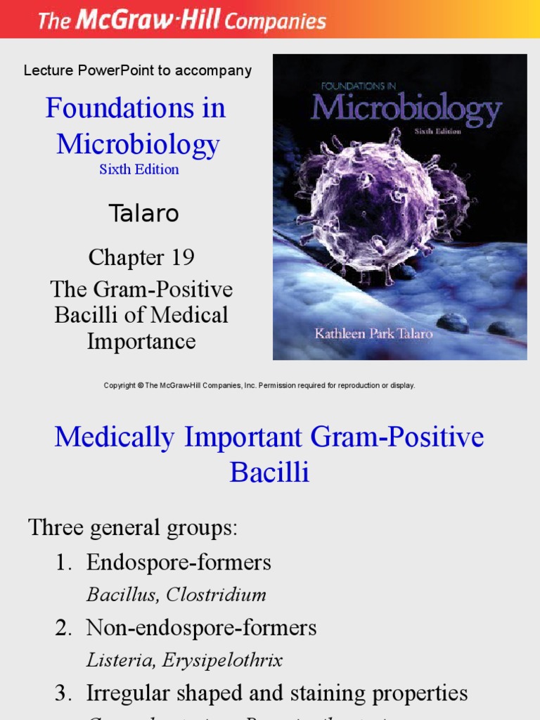 The G+ve Bacilli of Medical Importance | PDF | Tuberculosis | Leprosy