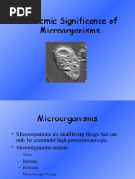 KOH String Test for Gram Stain Confirmation | PDF | Gram Positive ...