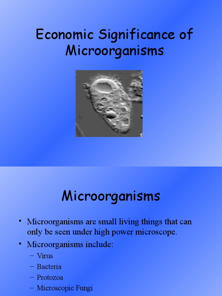 ICSE Biology Economic Significance of Microorganisms | Microorganism ...