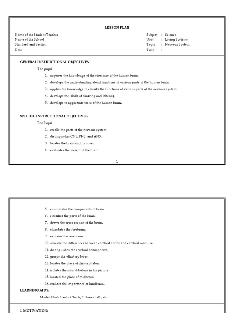 Nervous System and Brain Lesson Plan | PDF | Cerebrum | Central Nervous ...
