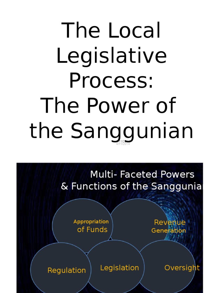 3-Local Legislative Process | PDF | Congressional Oversight | Government