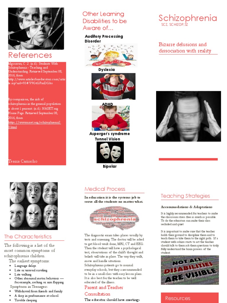 Schiz Brochure | PDF | Schizophrenia | Clinical Psychology