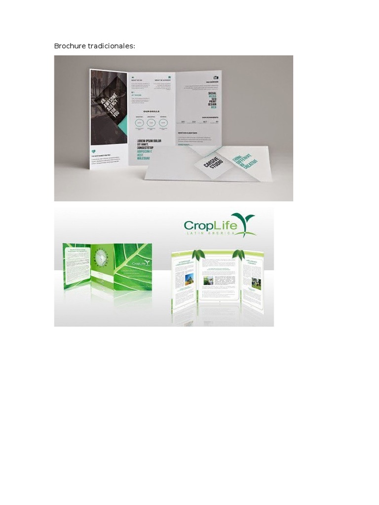 Modelos de Brochures | PDF