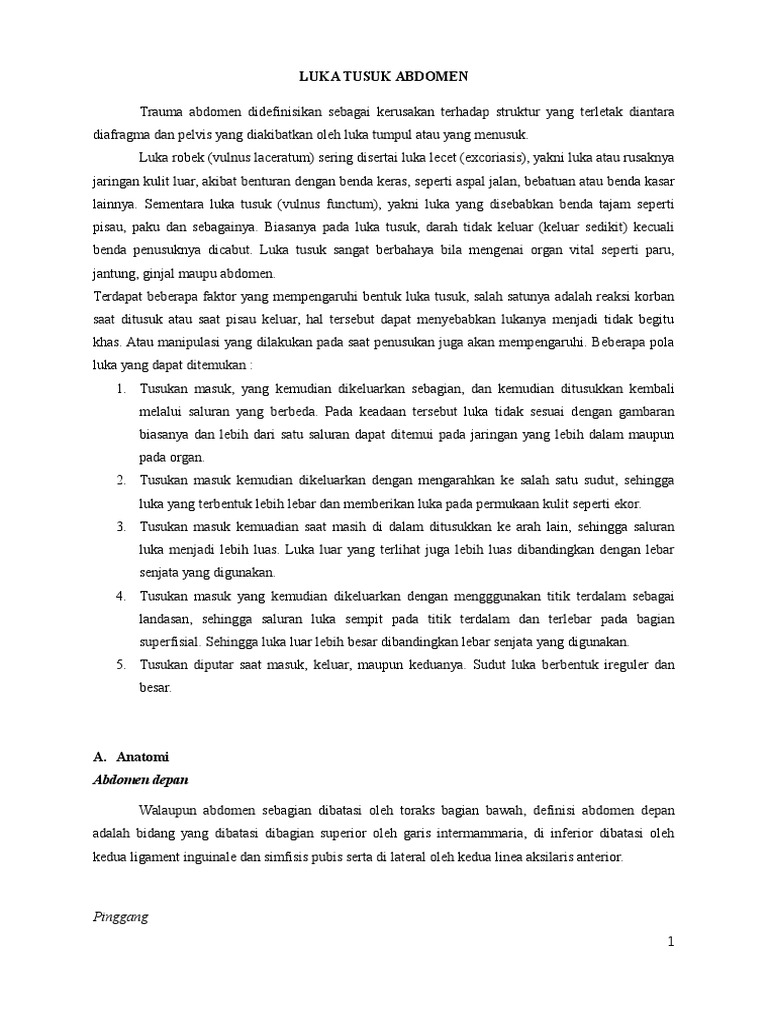 Luka Tusuk Abdomen Ini | PDF