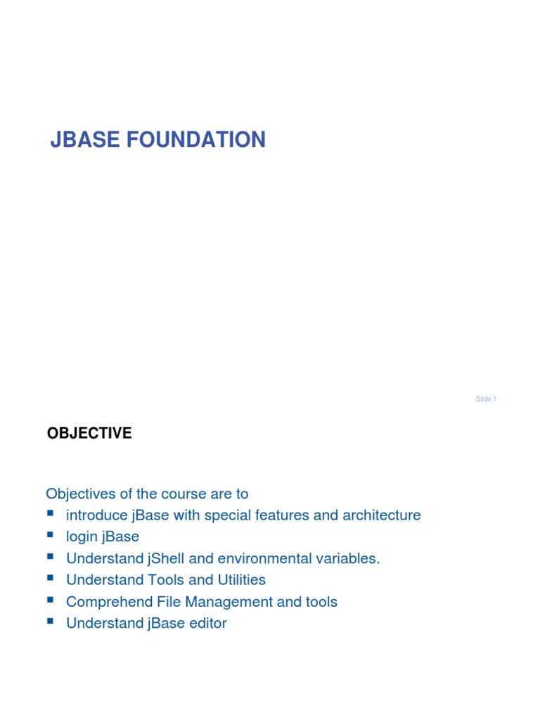 T24 Jbase Complete PDF | PDF