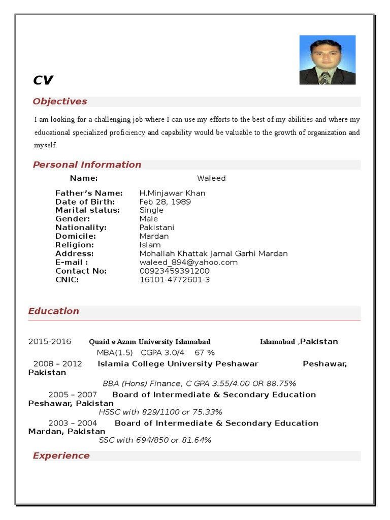 Waleed CV New | PDF