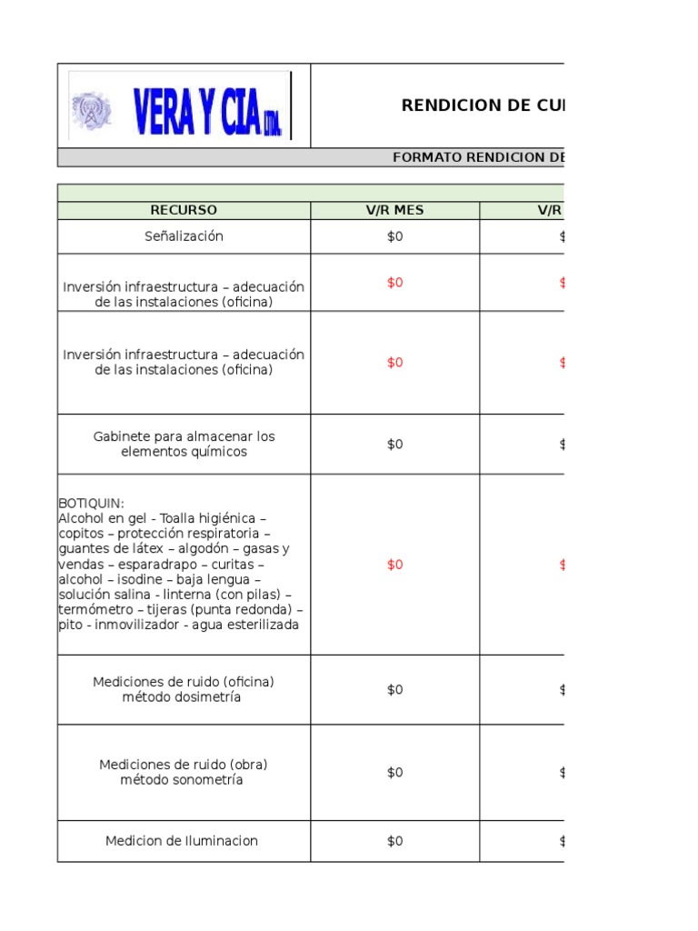 ANEXO 2 - Formato Rendicion de Cuentas | PDF