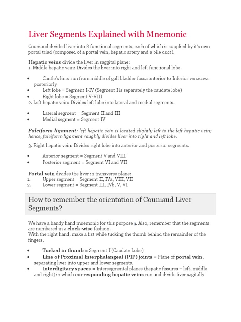 Liver Segments Explained With Mnemonic | PDF | Liver | Clinical Medicine