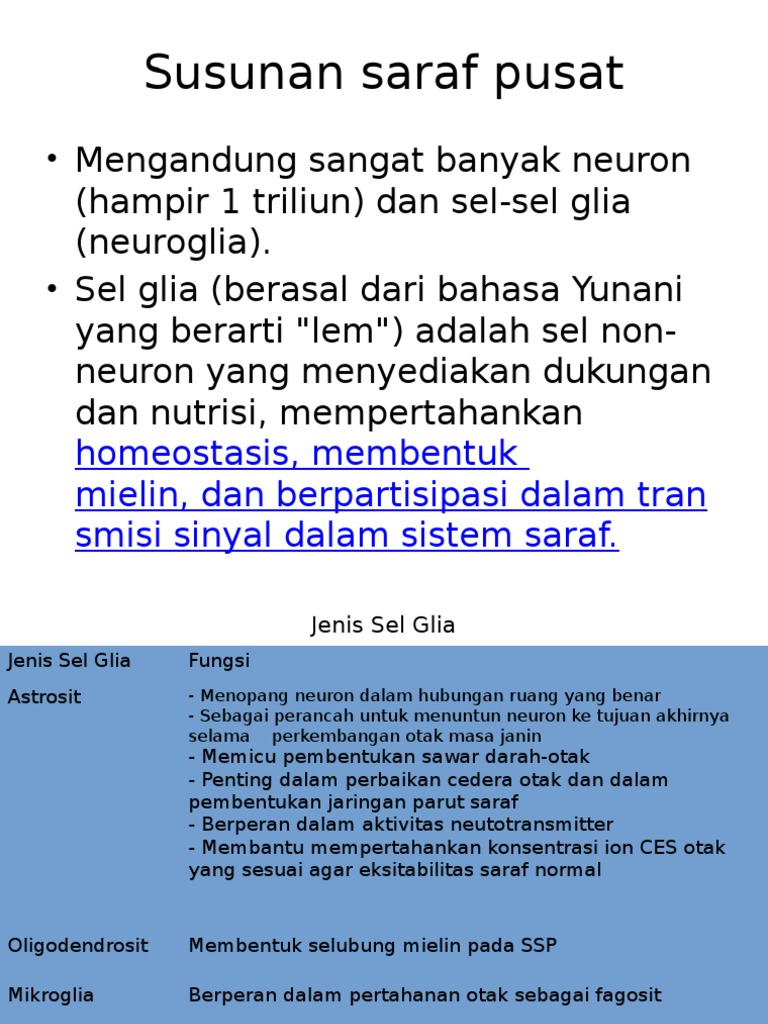 Struktur dan Fungsi Sel Saraf Pusat | PDF