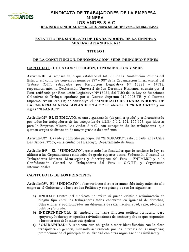 Estatutos del Sindicato Minero Los Andes | PDF | Sindicato | Derecho ...