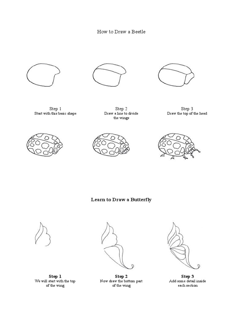 How To Draw A Beetle | PDF