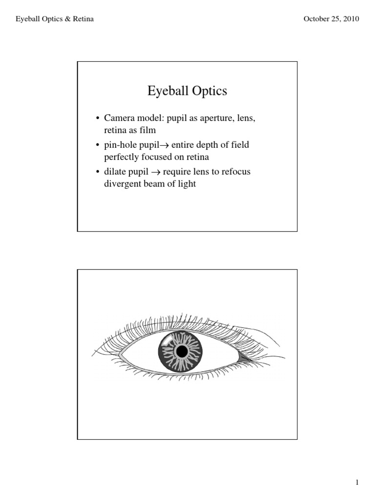 Eyeball Optics & Retina October 25, 2010 | PDF | Retina | Face