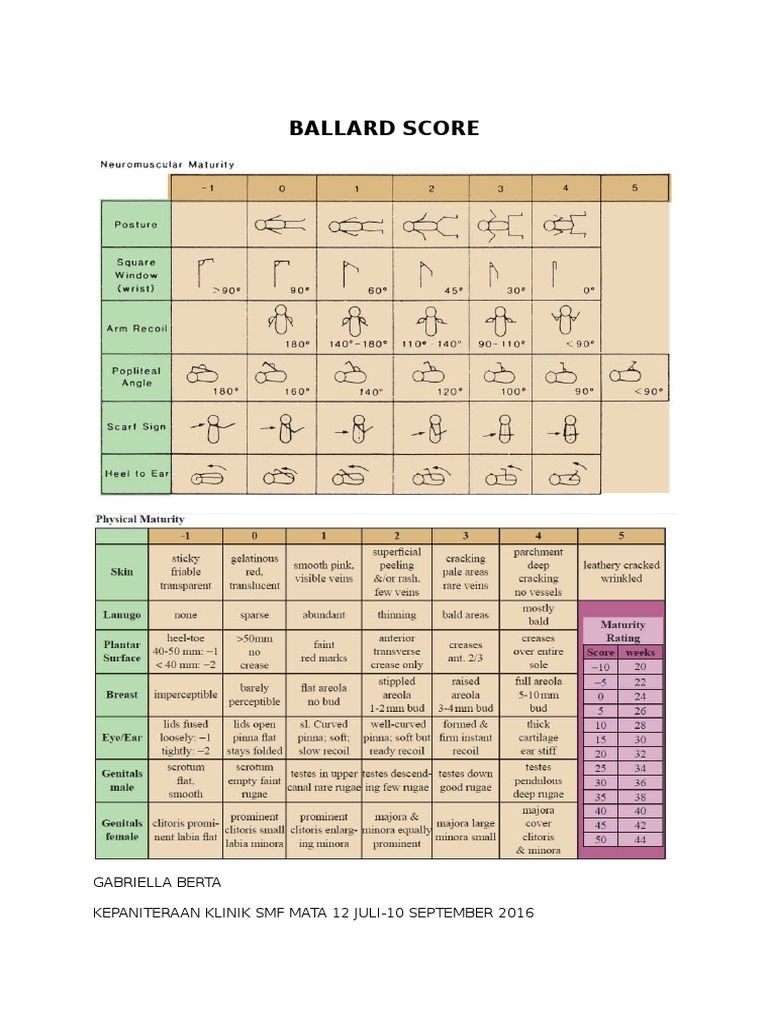 Ballard Score for Newborn Eye Exam | PDF