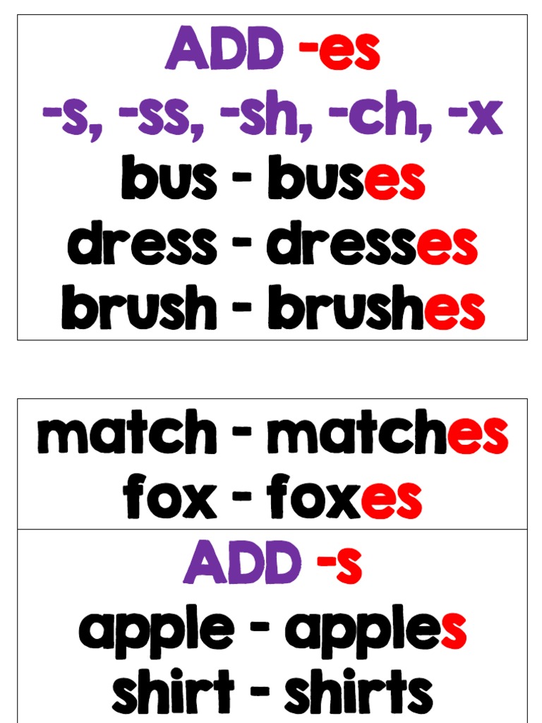 Singular and Plural Noun Rules | PDF