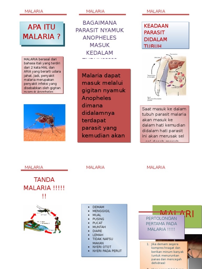 Leaflet Malaria | PDF