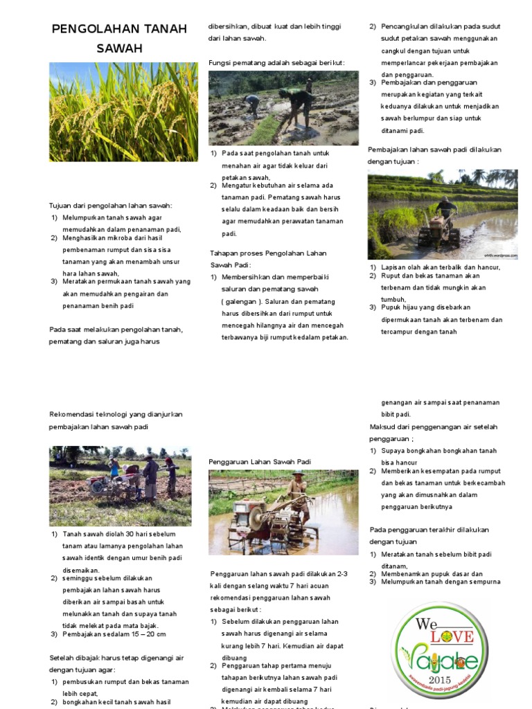 Proses Pengolahan Lahan Sawah Padi | PDF