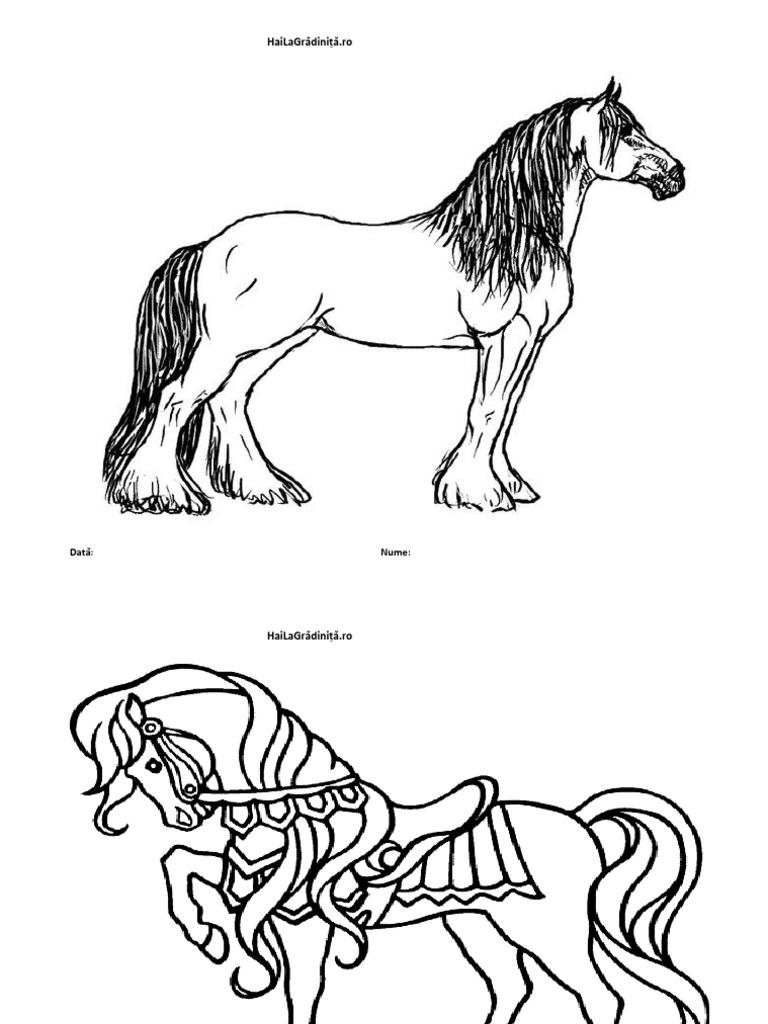 Fise de Colorat Cai PDF | PDF