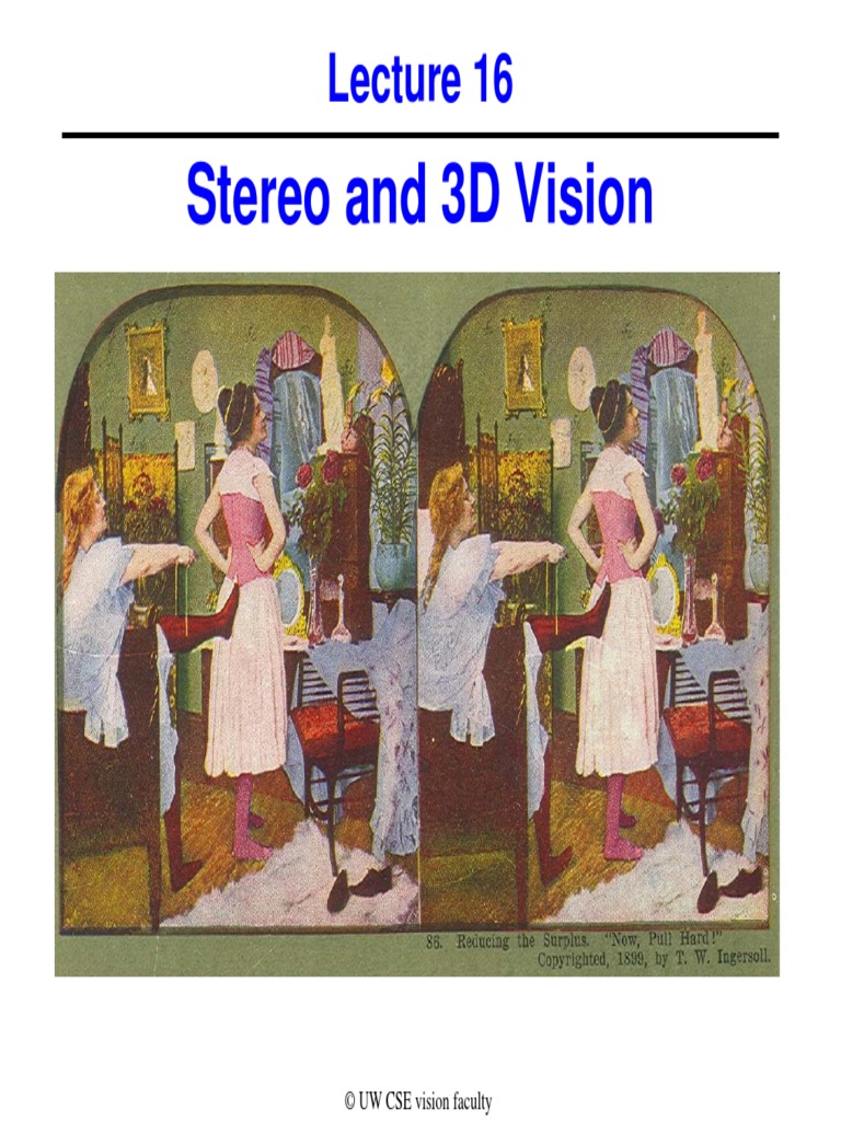 Stereo 3d Vision | PDF