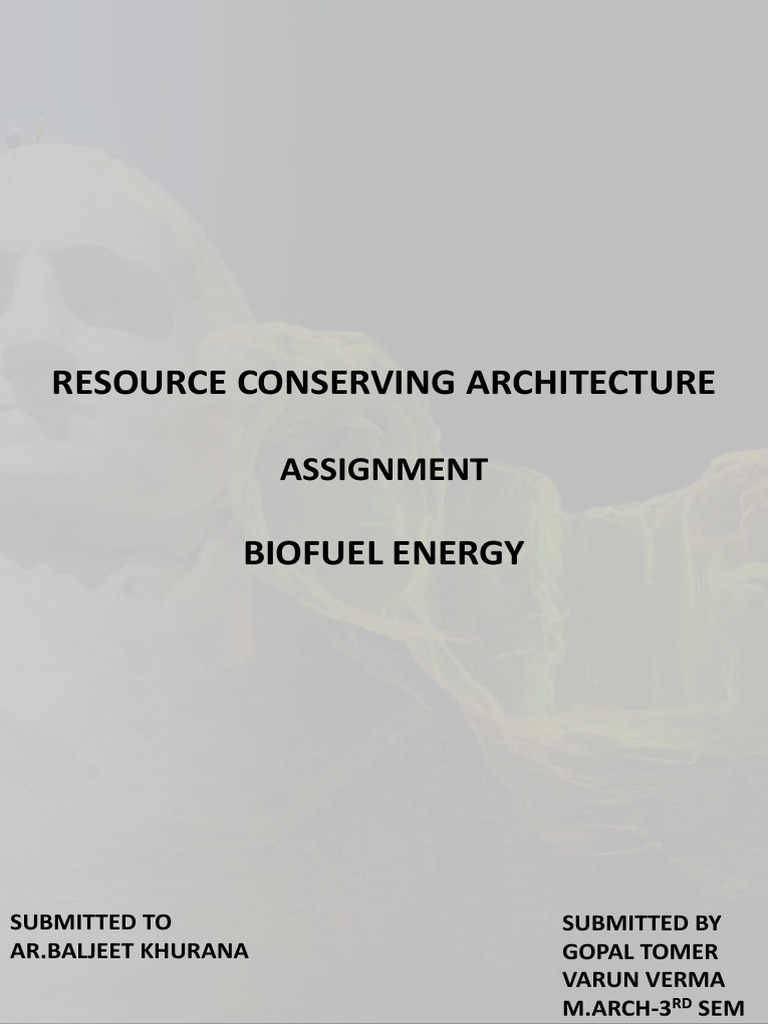 Assignment PDF | PDF | Biofuel | Biodiesel