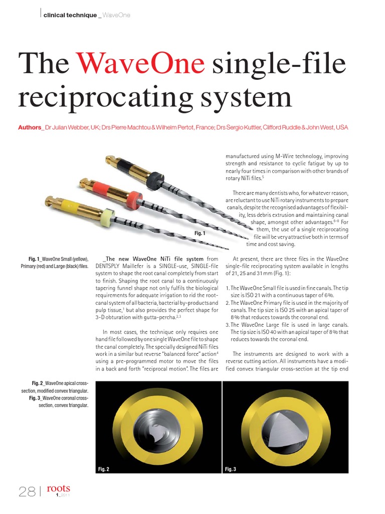 WaveOne Single-File System Overview | PDF | Science & Mathematics ...