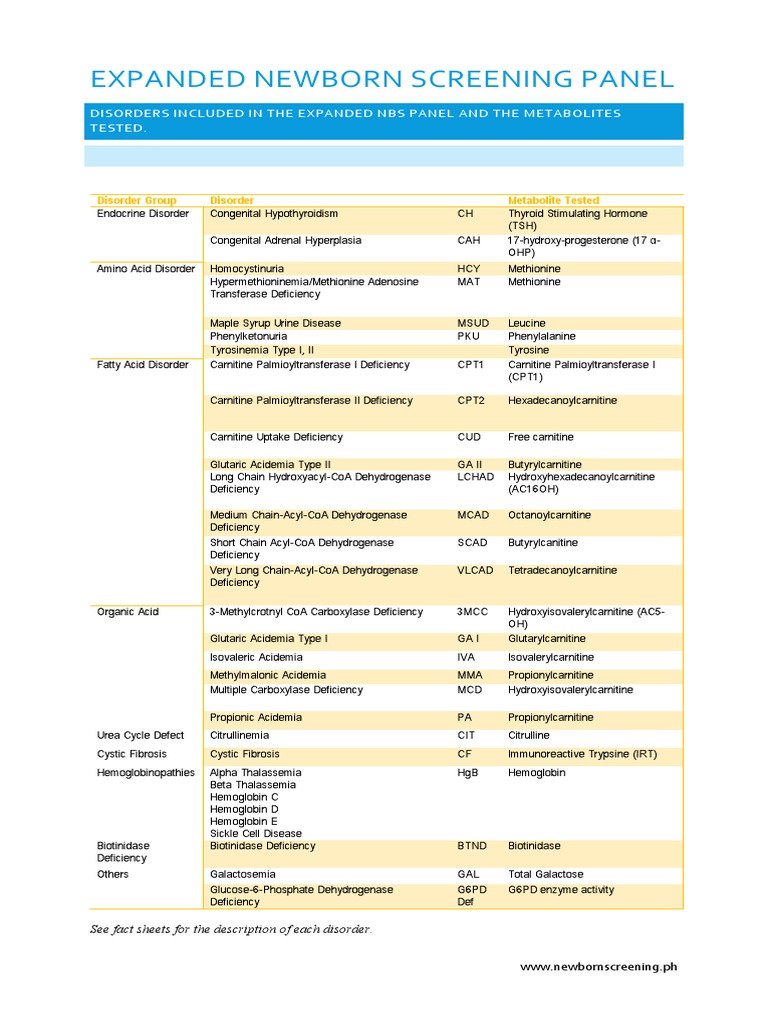 Enbs Panel | PDF