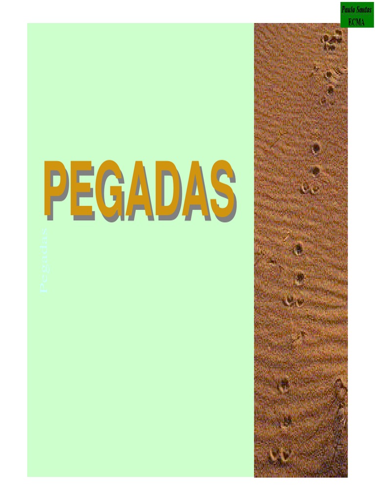 Tipos de pegadas de mamíferos e outros animais | PDF | Mamíferos de ...