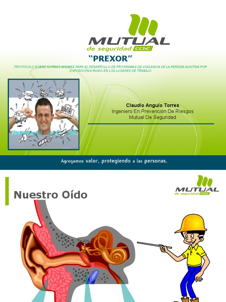 Prexor- | ruido | Oído