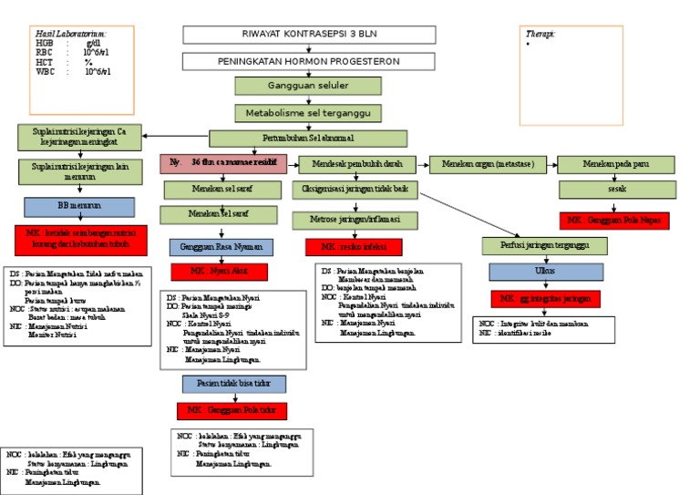 Mapping CA Mamae | PDF