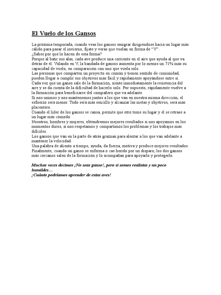 El Vuelo de Los Gansos