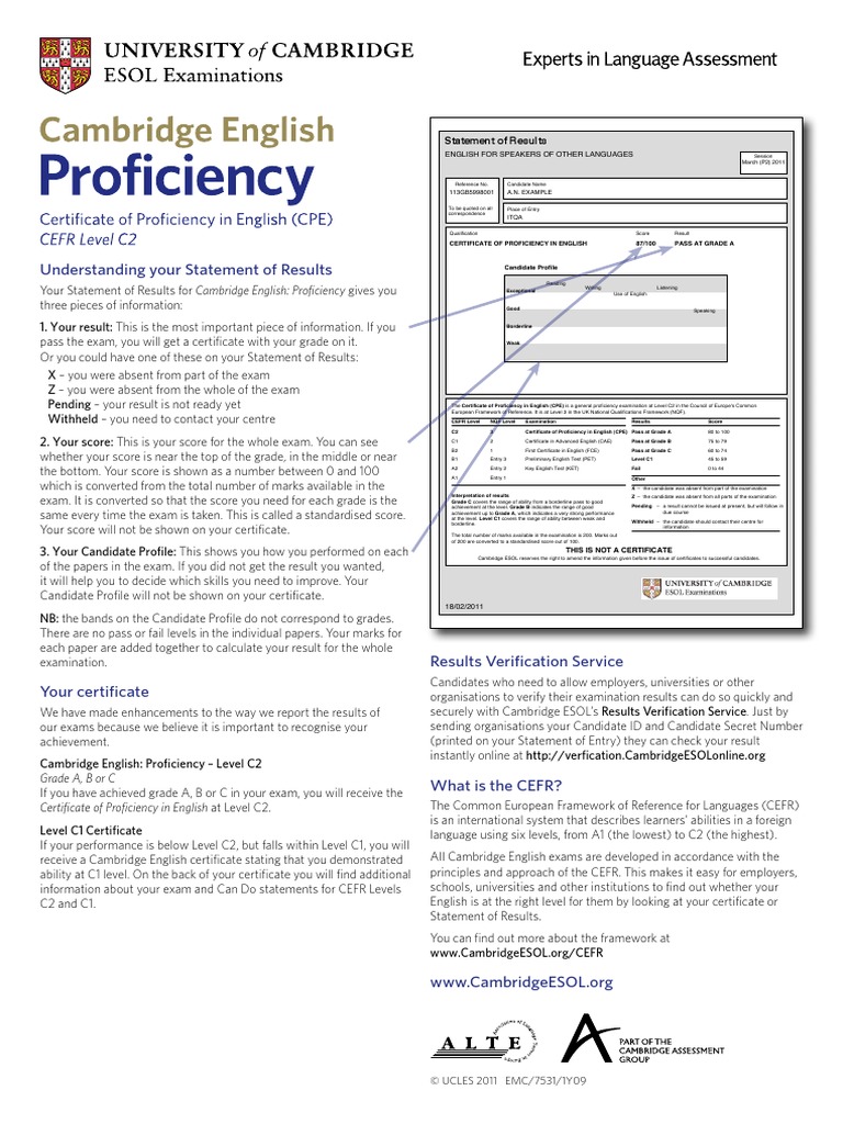 Cpe Understanding Statement of Results | PDF | Data Collection | Second ...