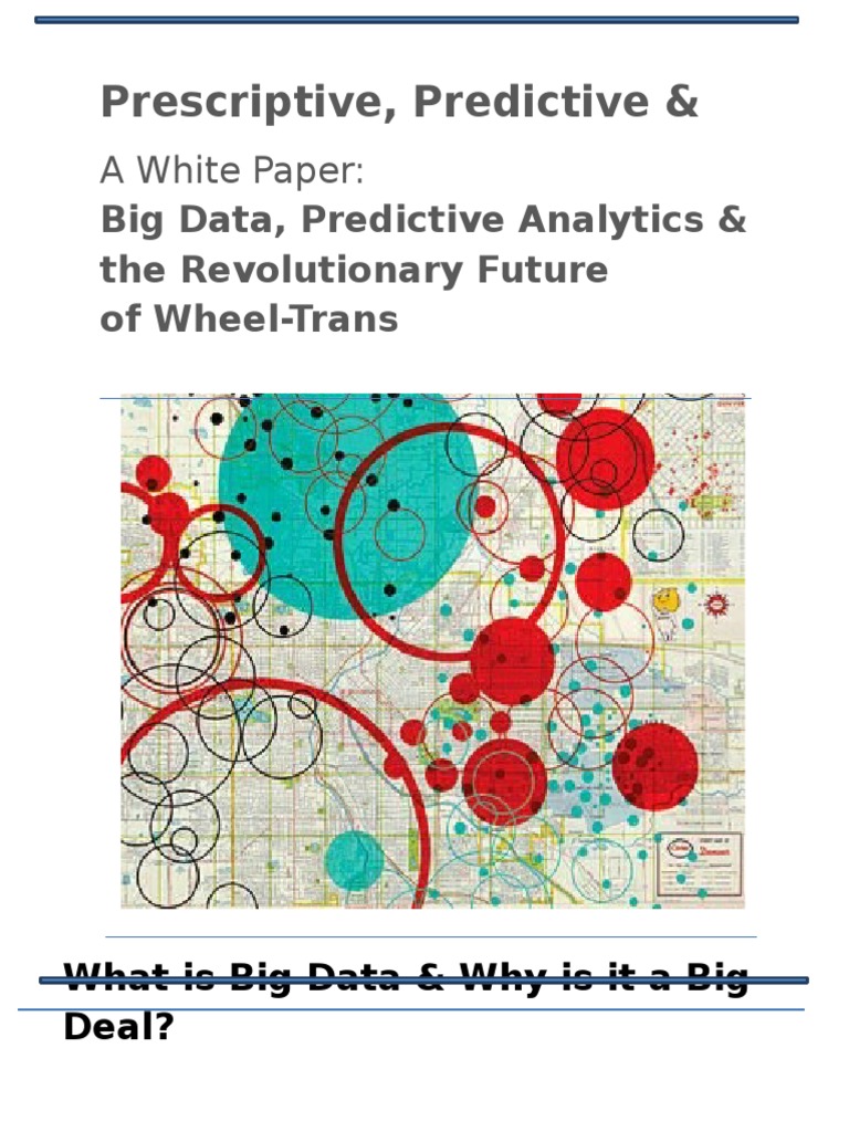 Business Analytics White-Paper 2 0 | PDF | Big Data | Predictive Analytics
