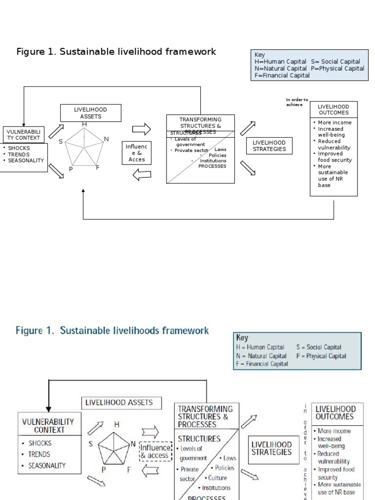 Figure 1. Sustainable Livelihood Framework | PDF