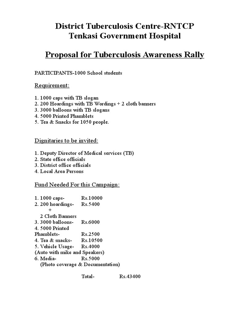Proposal For Rally | PDF