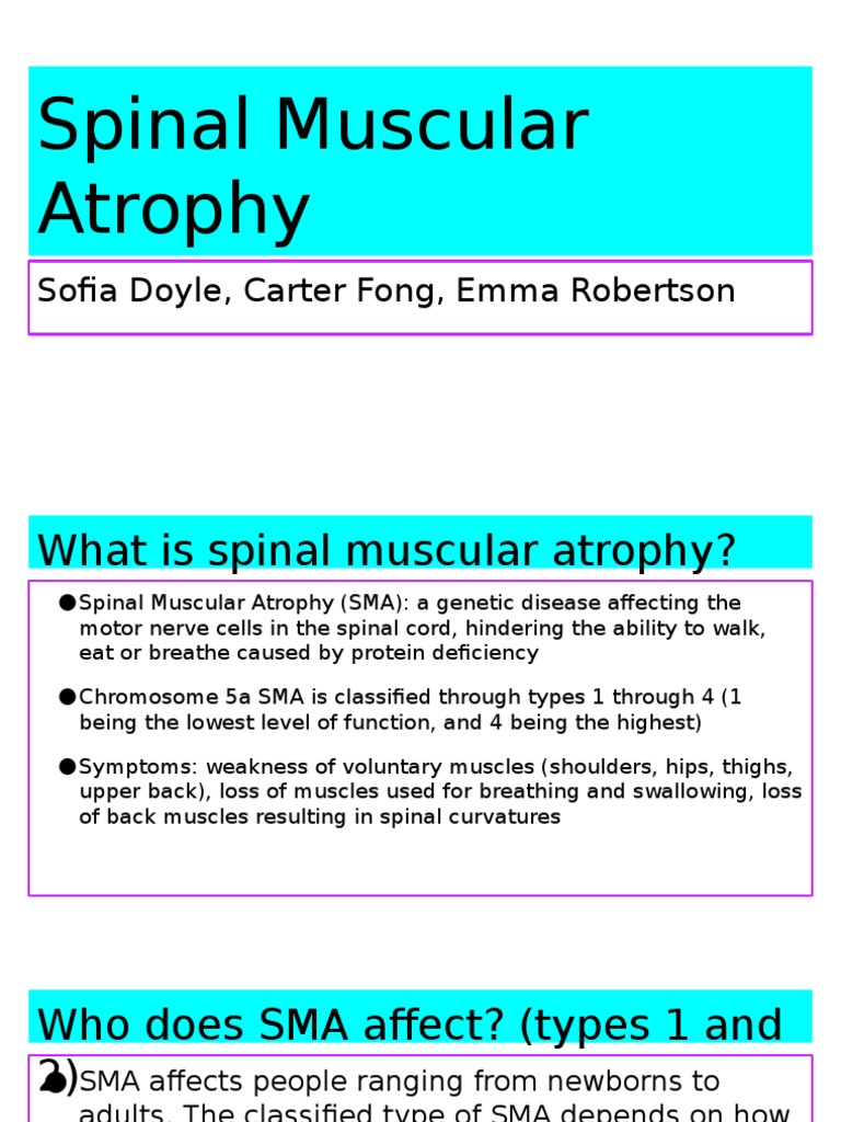 Spinal Muscular Atrophy-2 | PDF | Muscle | Medicine