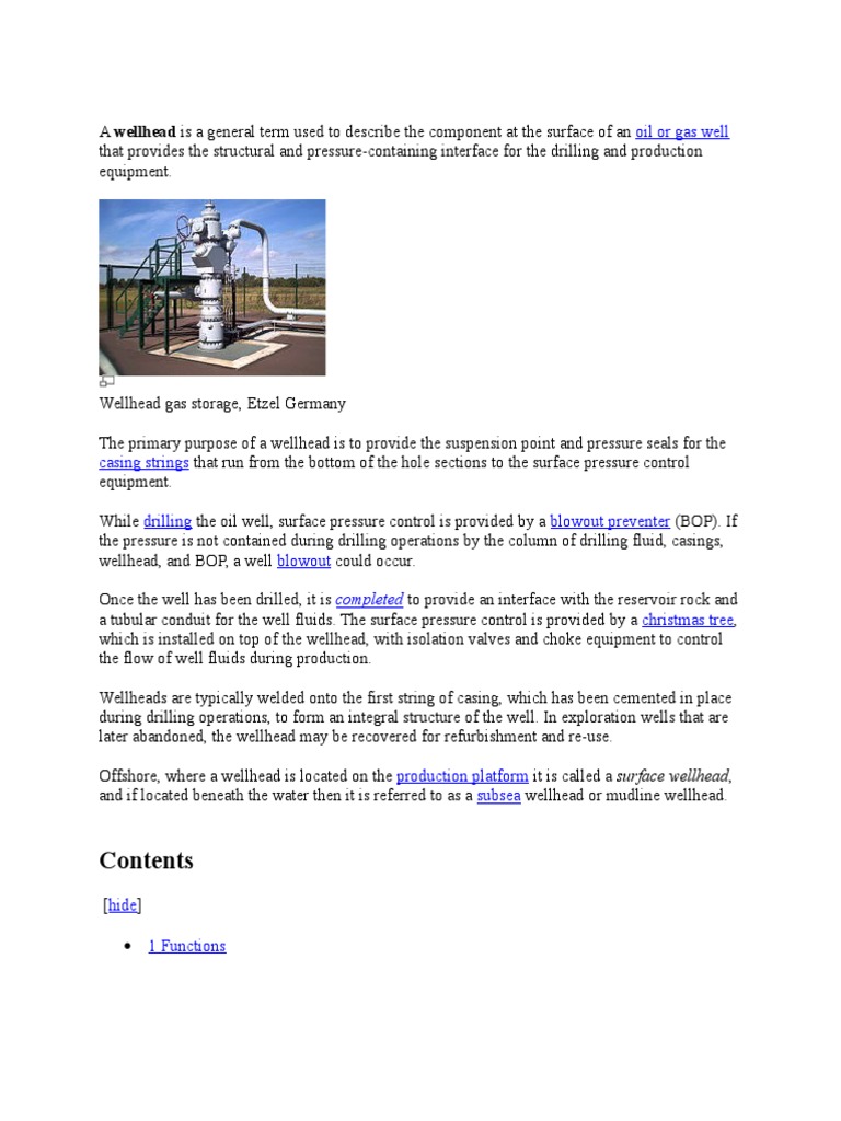Wellhead and Its Components | PDF | Casing (Borehole) | Chemical ...