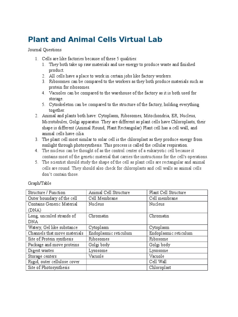 Plant and Animal Cells Virtual Lab | PDF