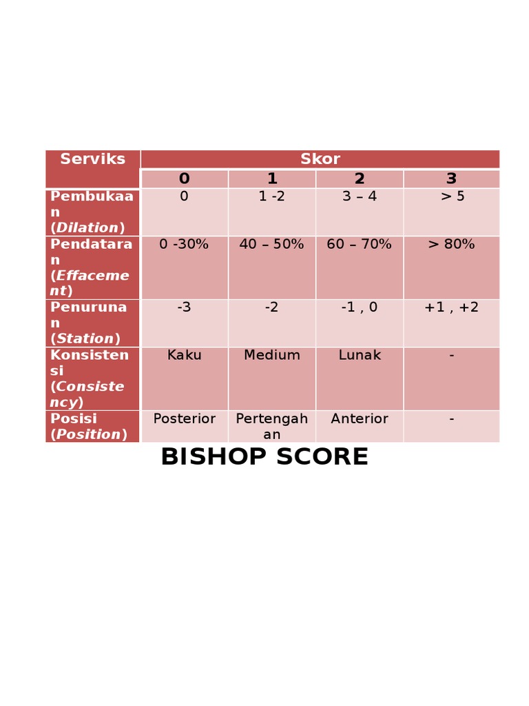 Bishop Score Poster | PDF | Teaching Methods & Materials