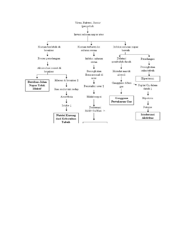 Woc Ispa Pada Anak | PDF